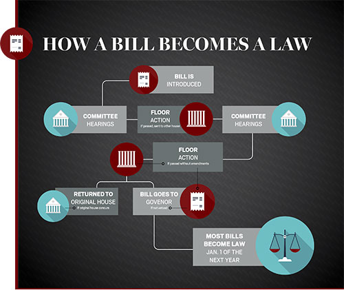 Infographic How A Bill Becomes A Law