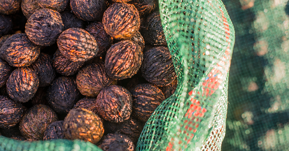 Just Outside Your Door: Go Nuts | Jefferson City Magazine